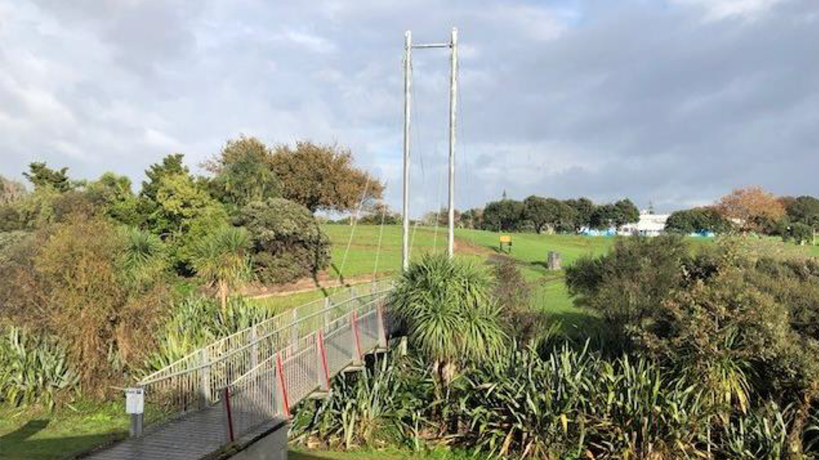 JUNE 26 - Botany Creek Litter Clean Up Day - Pest Free Howick Ward